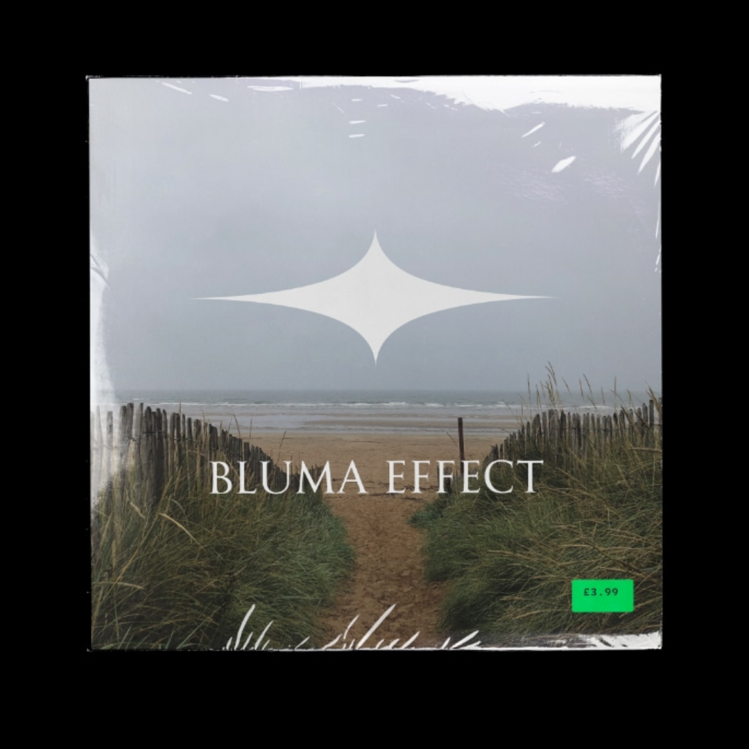 BLUMA EFFECT / CHAPTER ONE